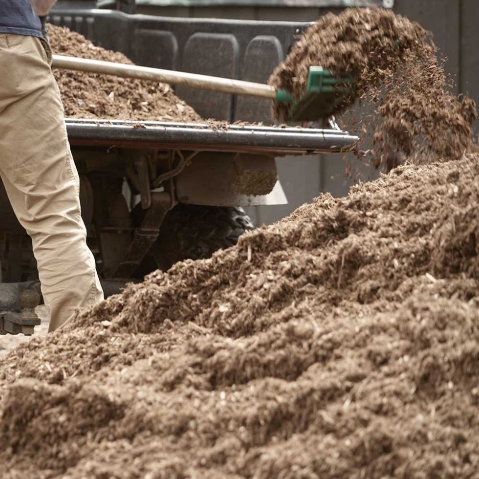 Mulching 101: What Is The Best Way To Install Mulch?