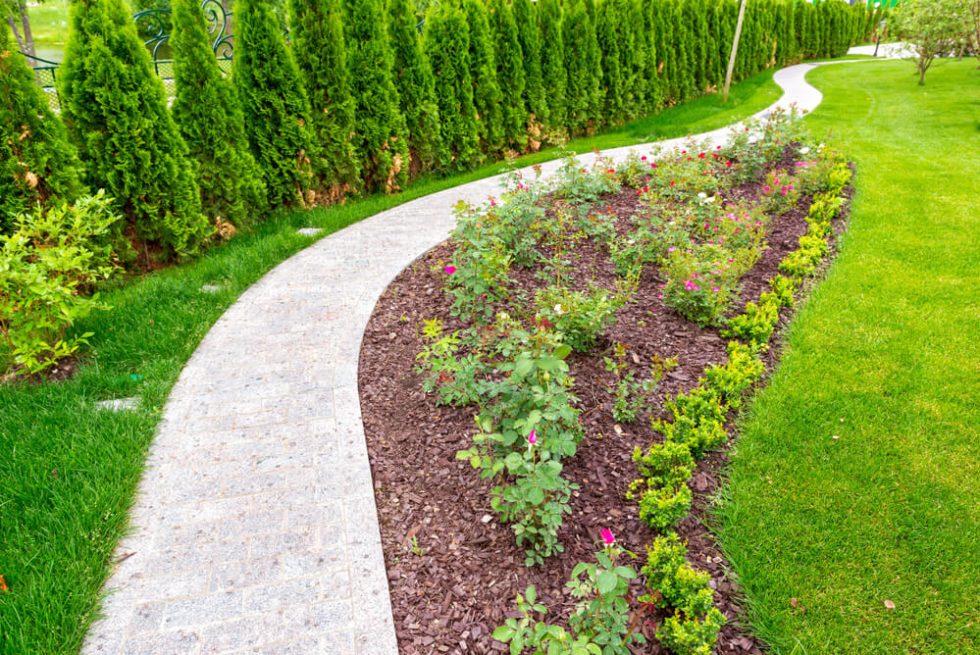 10 Mulch Alternatives: Stone, Rubber, & Organic Options