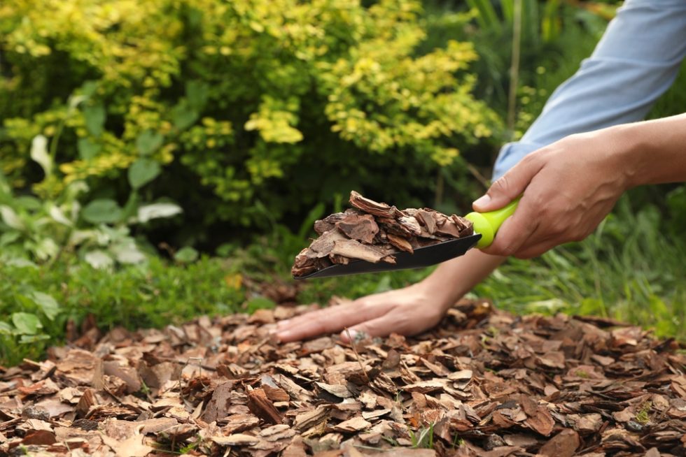 Choosing the Right Organic Mulch for Your Garden | Bella Mulch