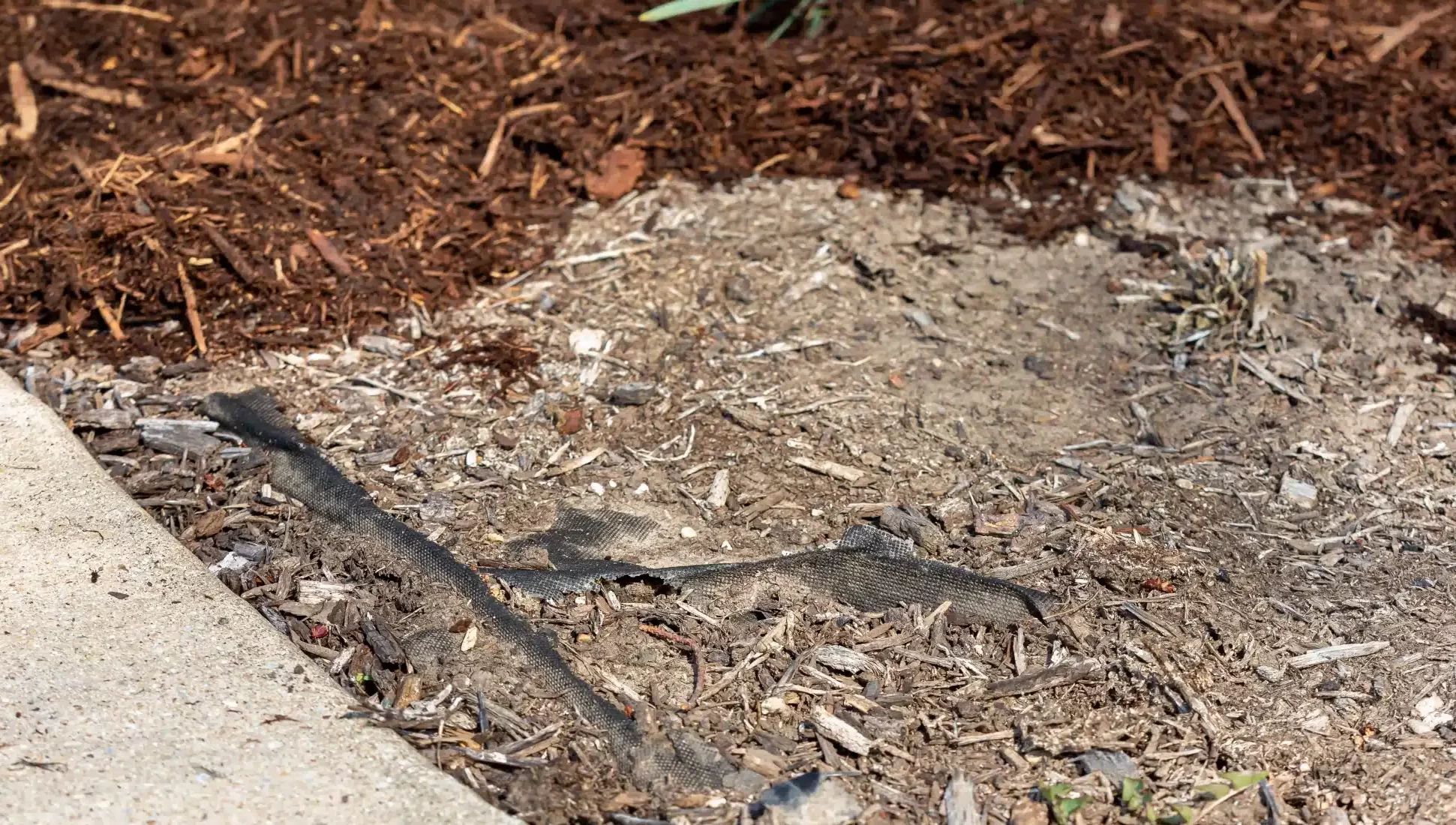 Commercial Mulch Replacement in Savannah, GA | Bella Mulch